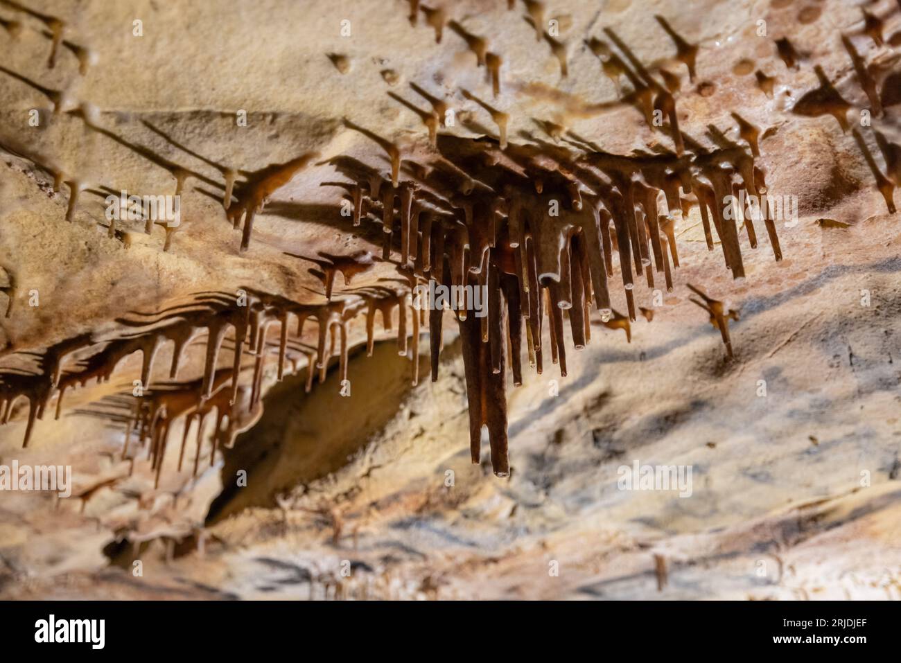 Rock formations inside of the Lehman Caves in Great Basin National Park ...