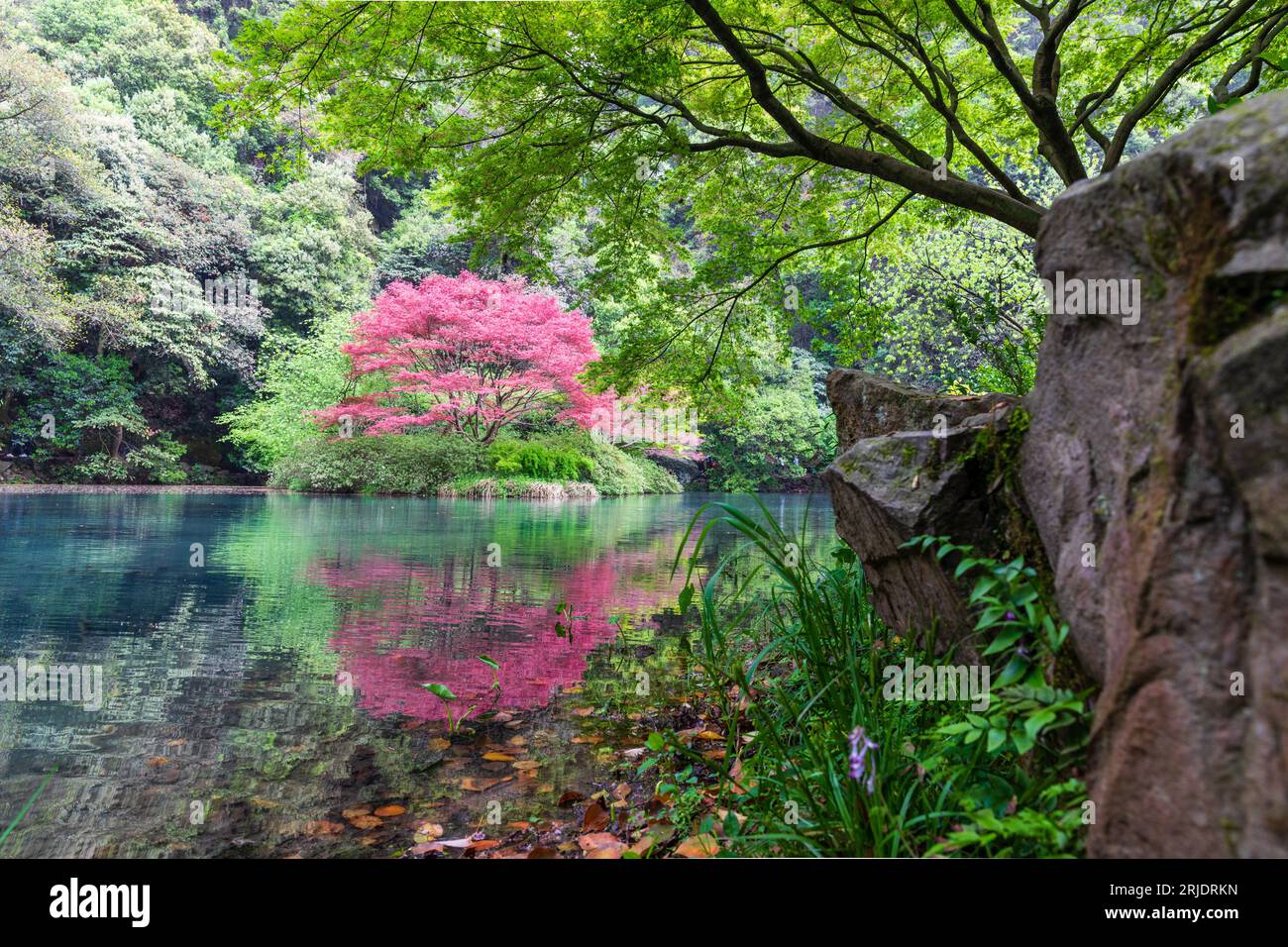 Spring in Hangzhou Stock Photo - Alamy