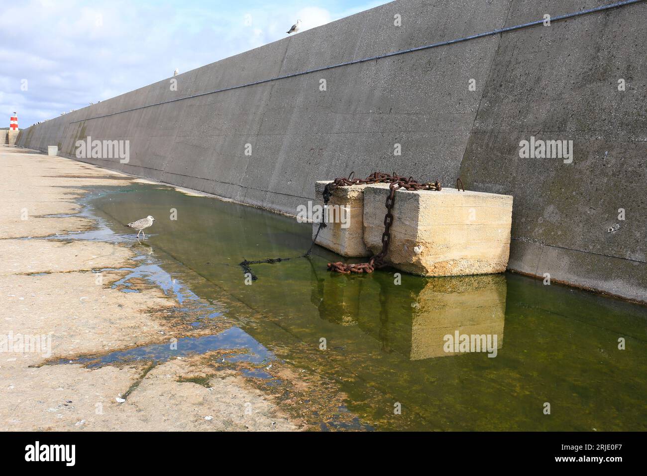 Sagres harbor light hi-res stock photography and images - Alamy