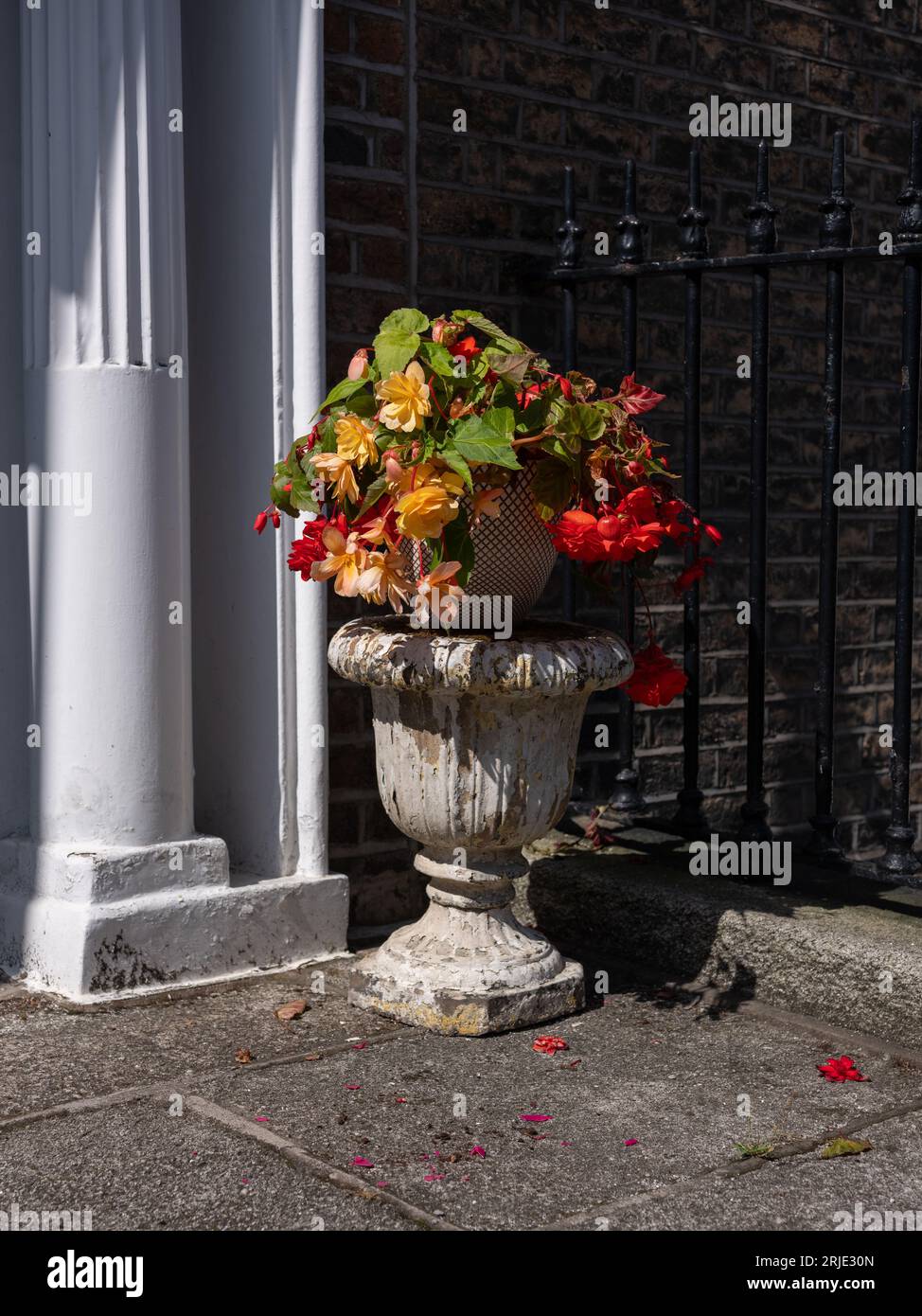 Bloom outside hi-res stock photography and images - Alamy