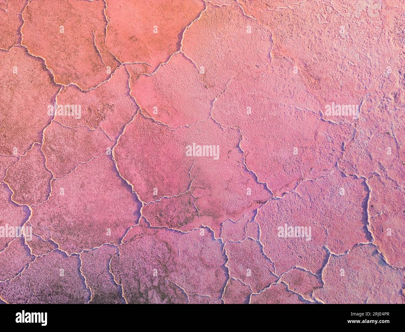A close-up of a cracked pink salt lake at sunset creating abstract ...