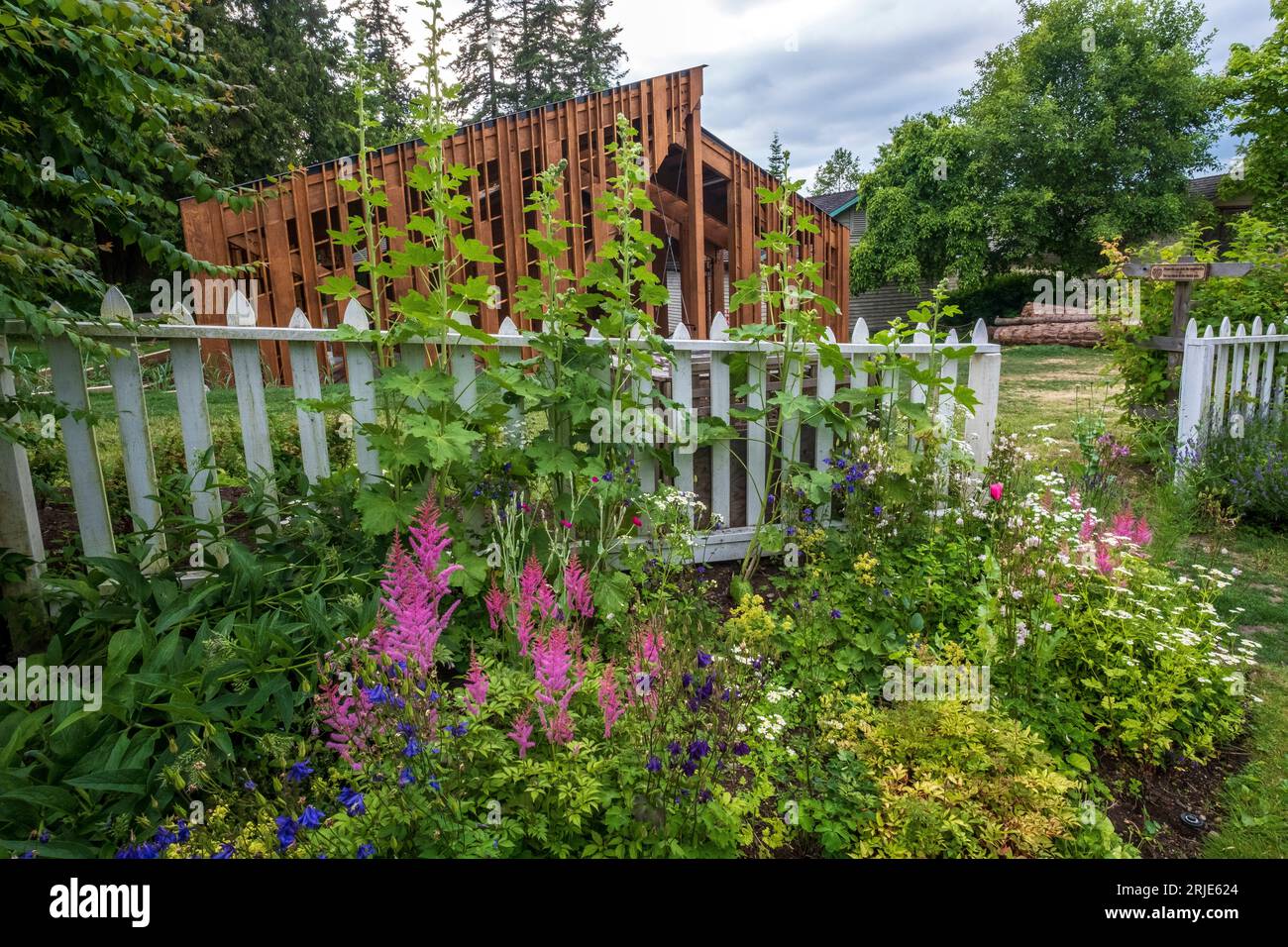 British columbia plants hi-res stock photography and images - Alamy