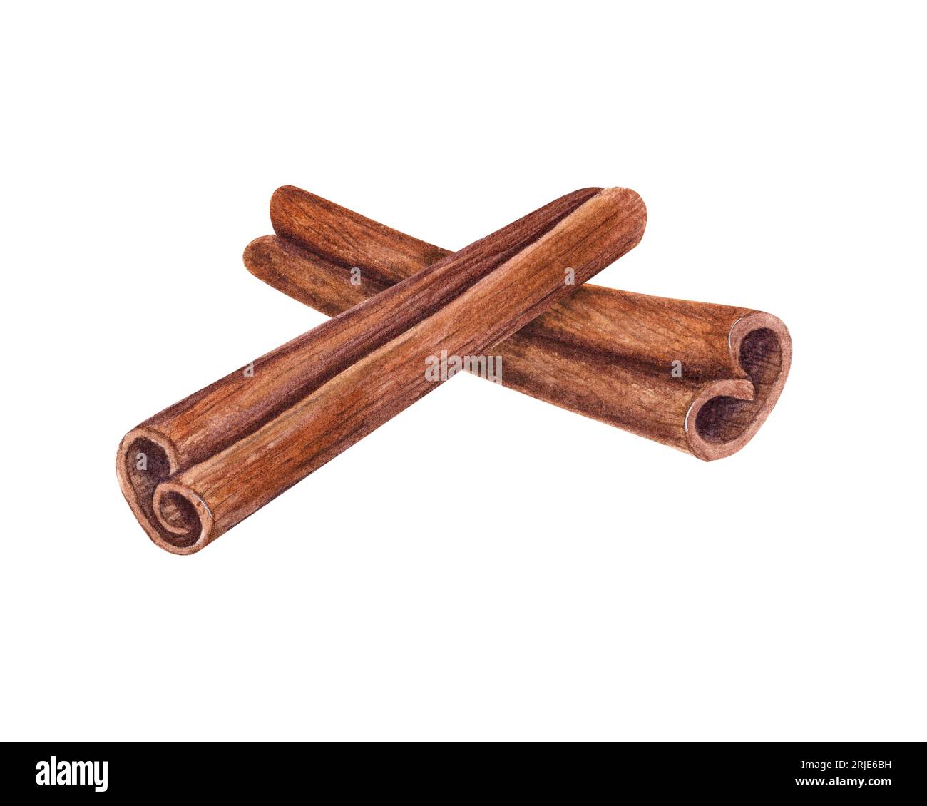 Composition of Cinnamon Sticks isolated on white background. Nature raw ...