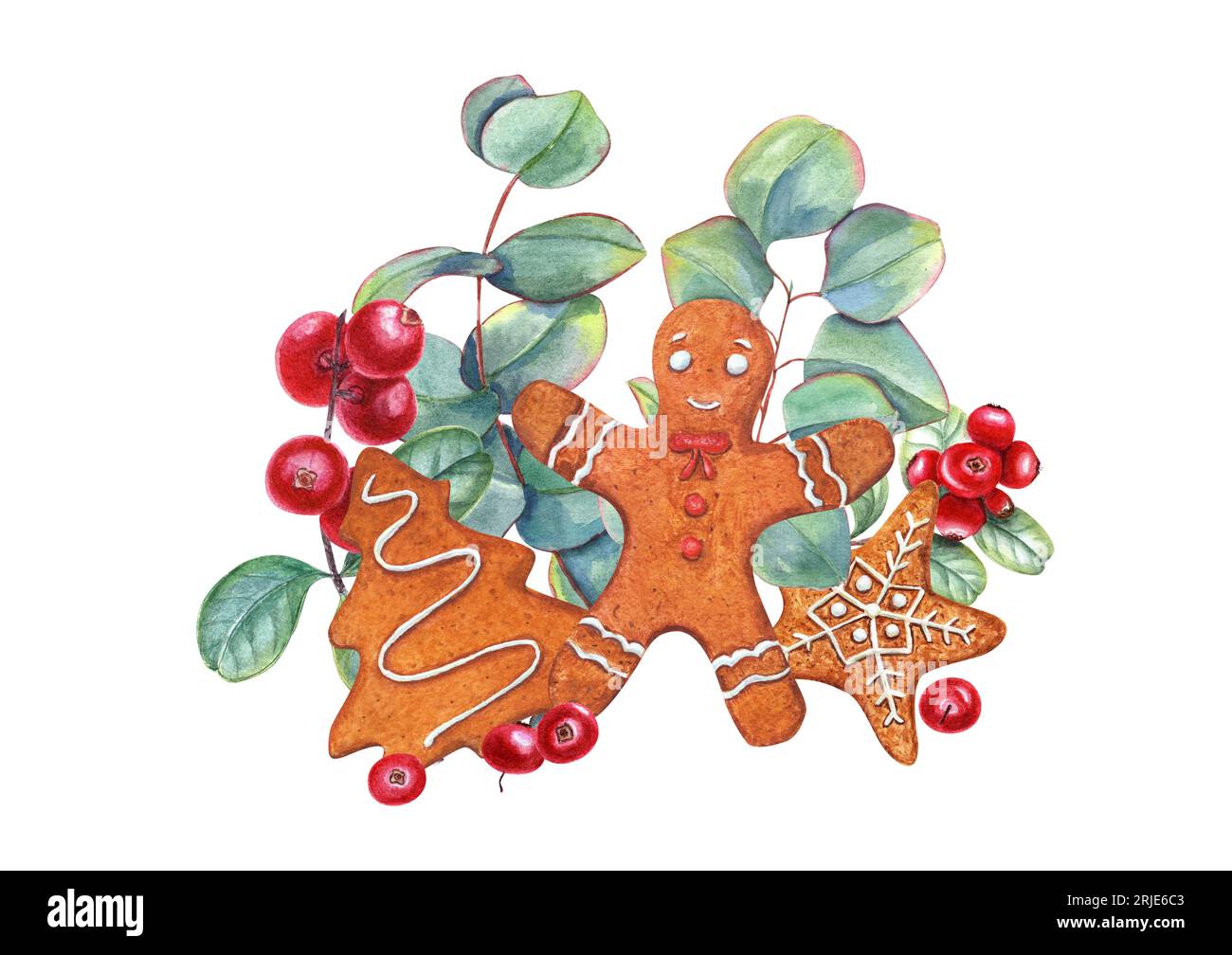 Watercolor Christmas gingerbread cookies with cranberries, eucalyptus ...