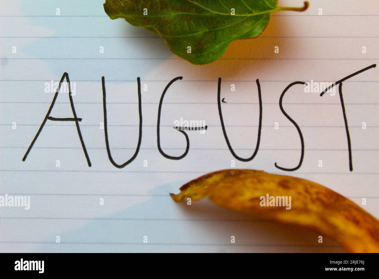 Month calendars hi-res stock photography and images - Alamy