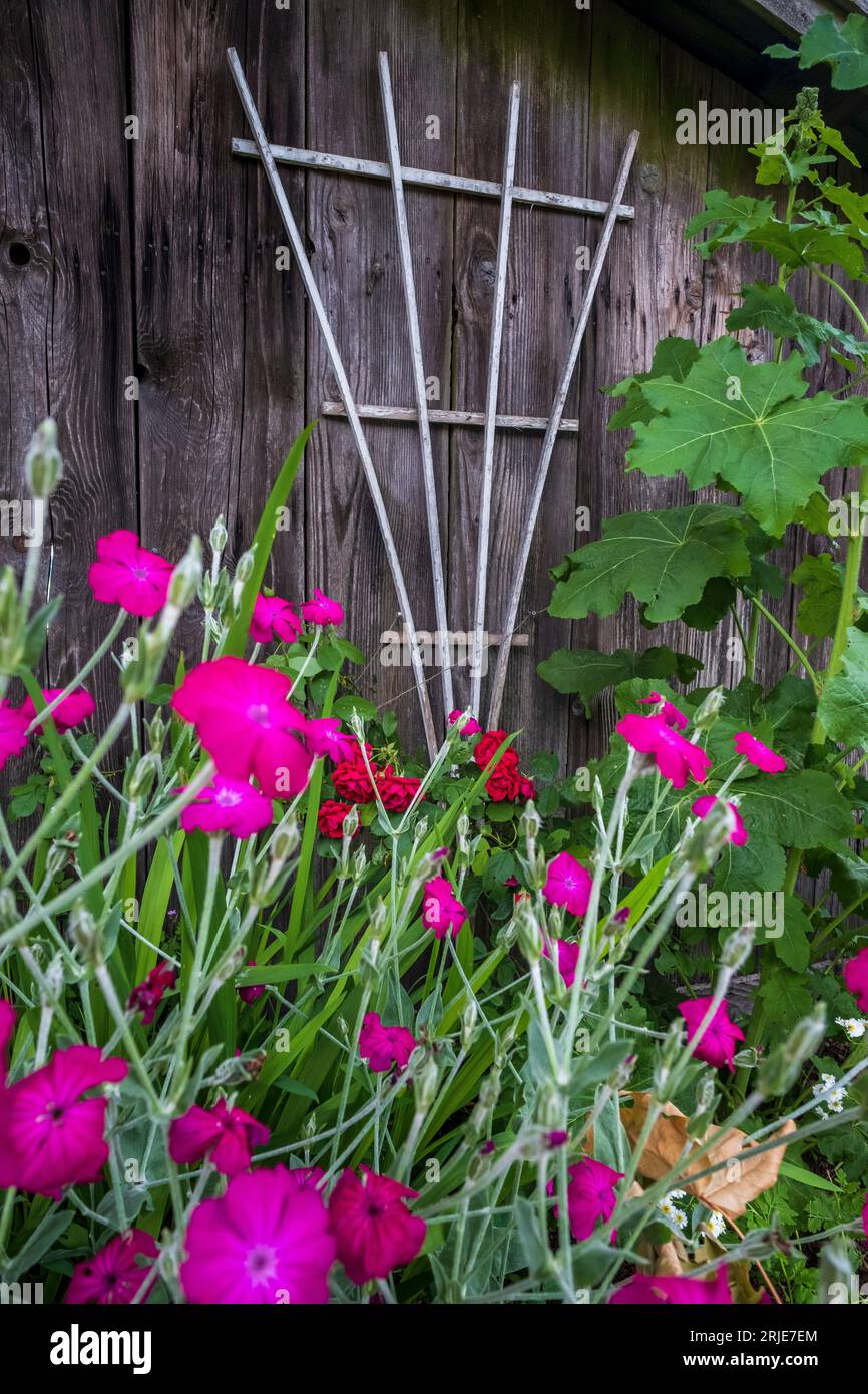 Historic Stewart Farm, Surrey, British Columbia, Canada Stock Photo - Alamy