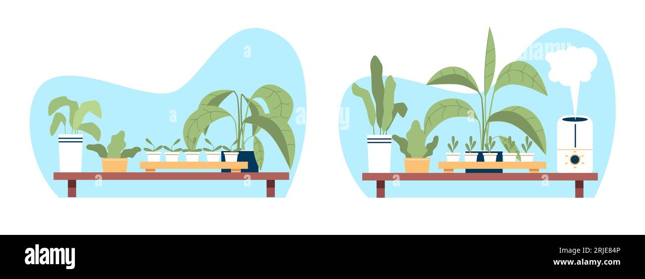 Humid microclimate Stock Vector Images - Alamy