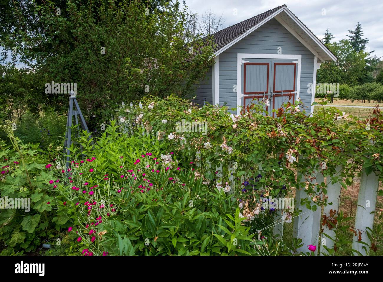 Stewart b c hi-res stock photography and images - Alamy