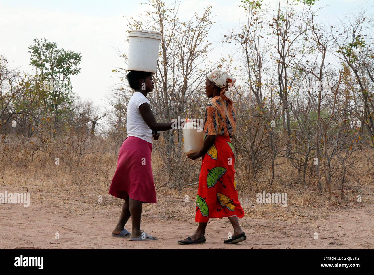 Two women are helping each other to carry a plastic container full of ...