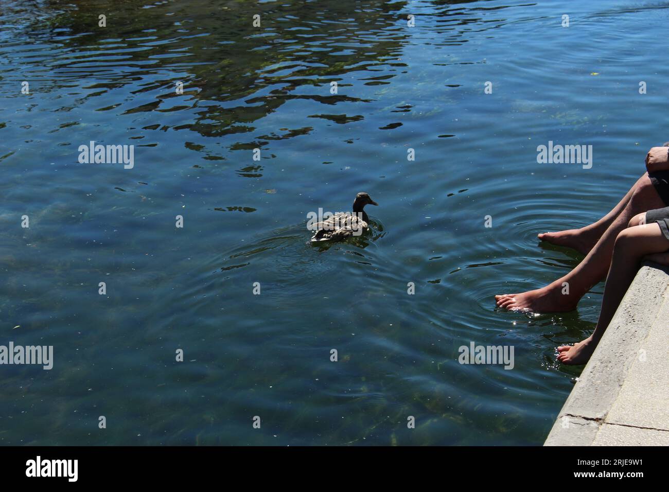 People cool off on a hot spring day in the south of France by putting ...