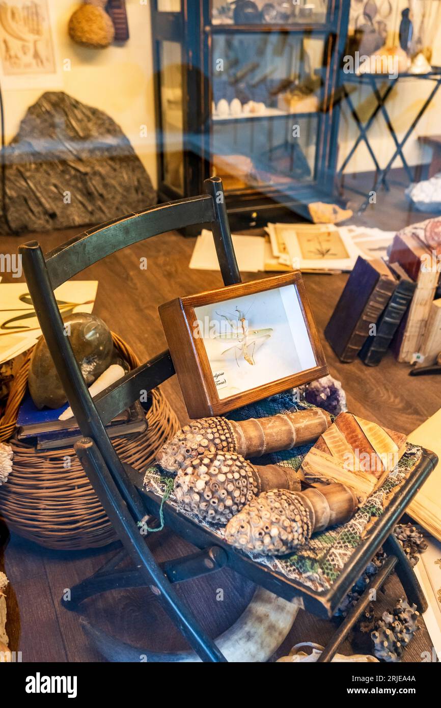 Display case artifacts hi-res stock photography and images - Alamy