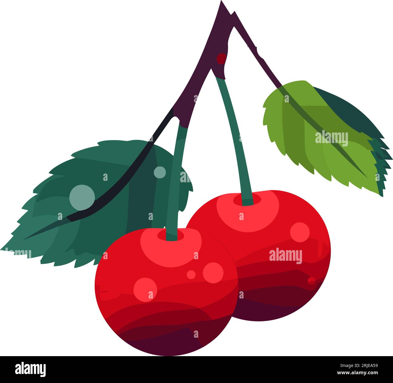 Vector cherry illustration. Isolated on a white background. Cartoon ...
