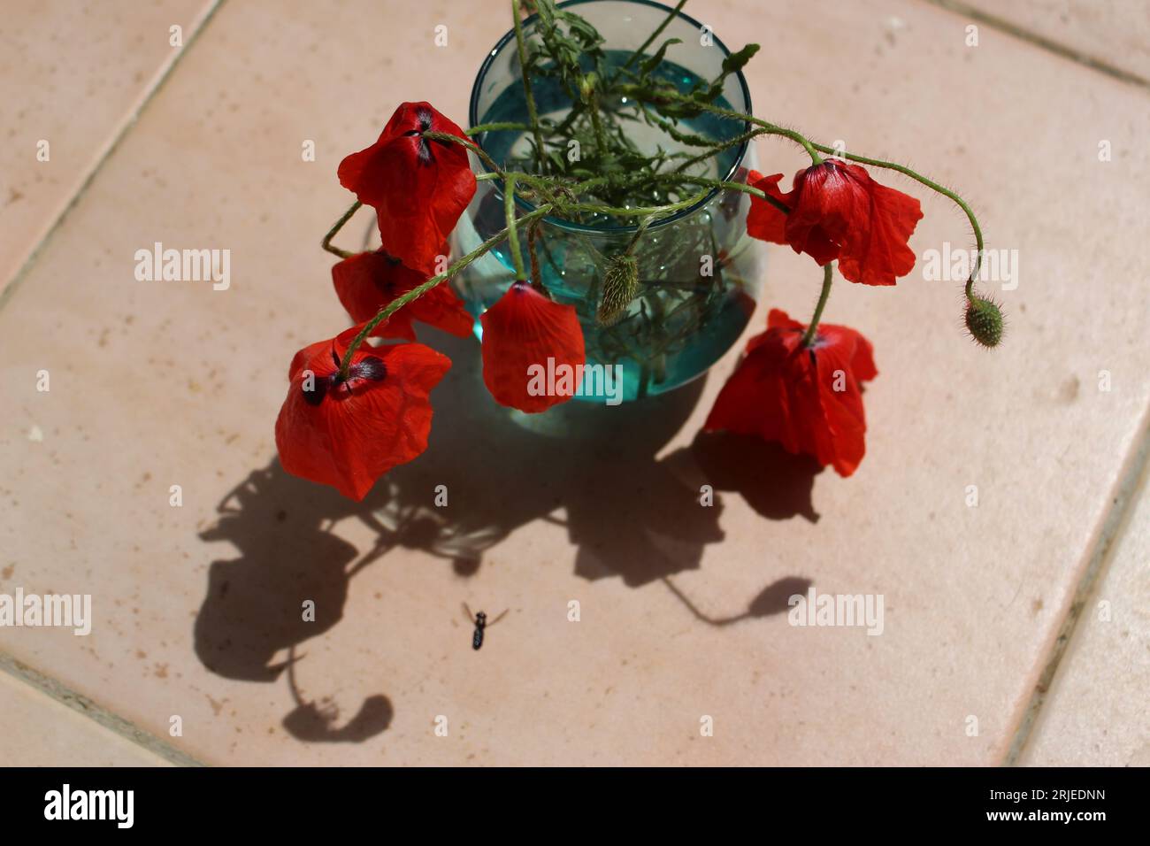 Drooping face hi-res stock photography and images - Alamy