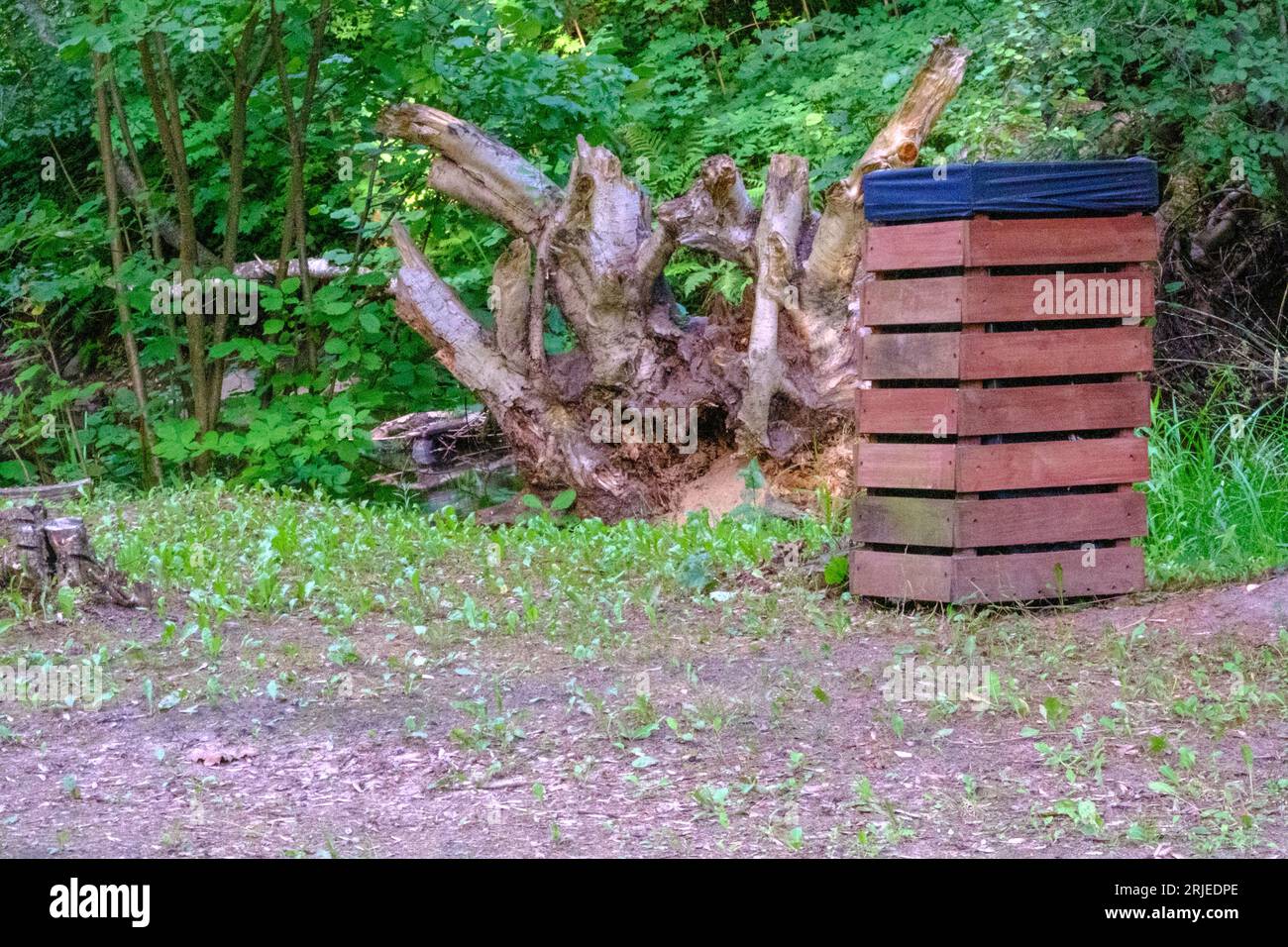 Wooden trash can on forest background. A wooden waste bin in the park ...