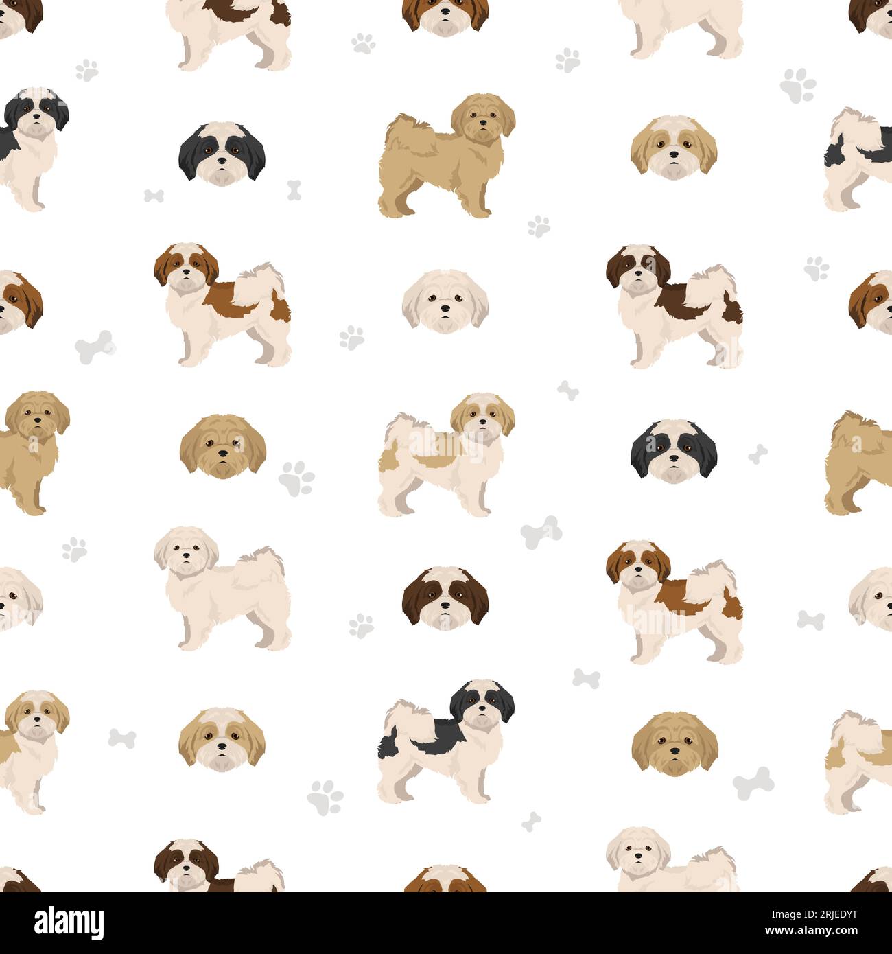 Mal-Shi seamless pattern. Maltese Shih-Tzu mix. Different coat colors ...