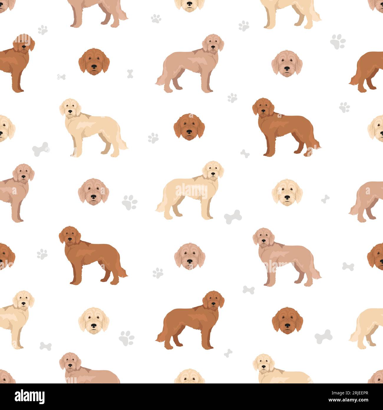 Labradoodle seamless pattern. Different poses, coat colors set. Vector ...