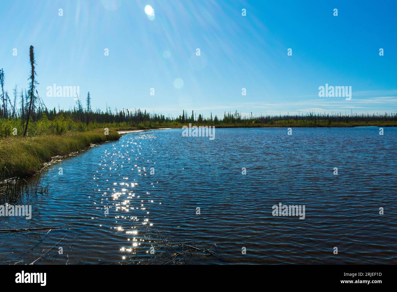 Beautiful lake sparkles in sunshine in Northwest territories, NT Canada ...