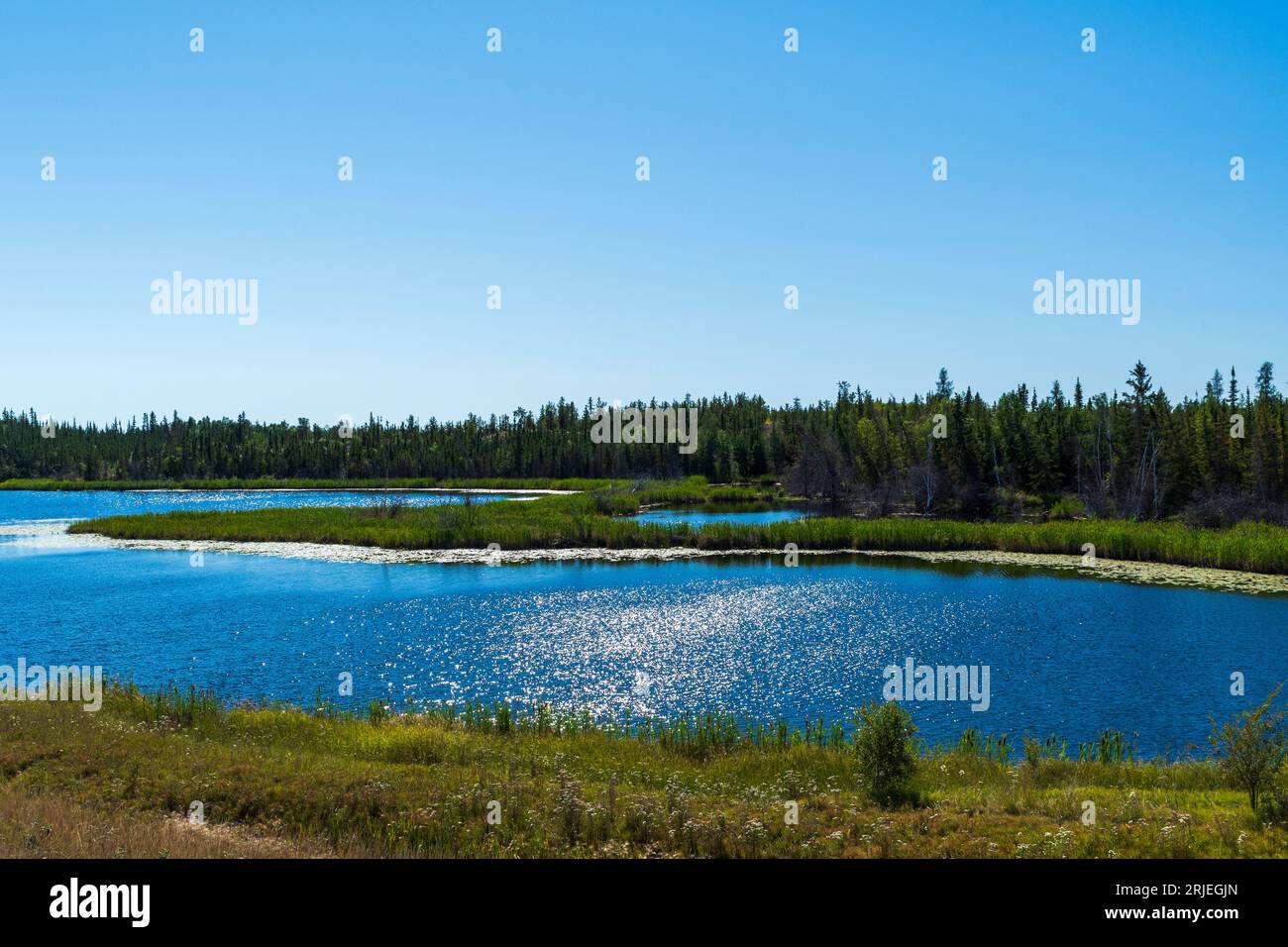 Beautiful lake sparkles in sunshine in Behchoko, Northwest territories ...