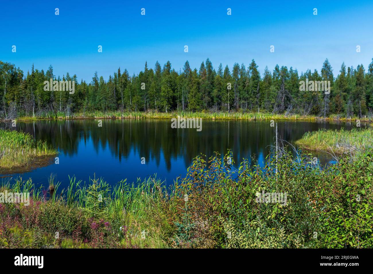 Beautiful lake sparkles in sunshine in Behchoko, Northwest territories ...