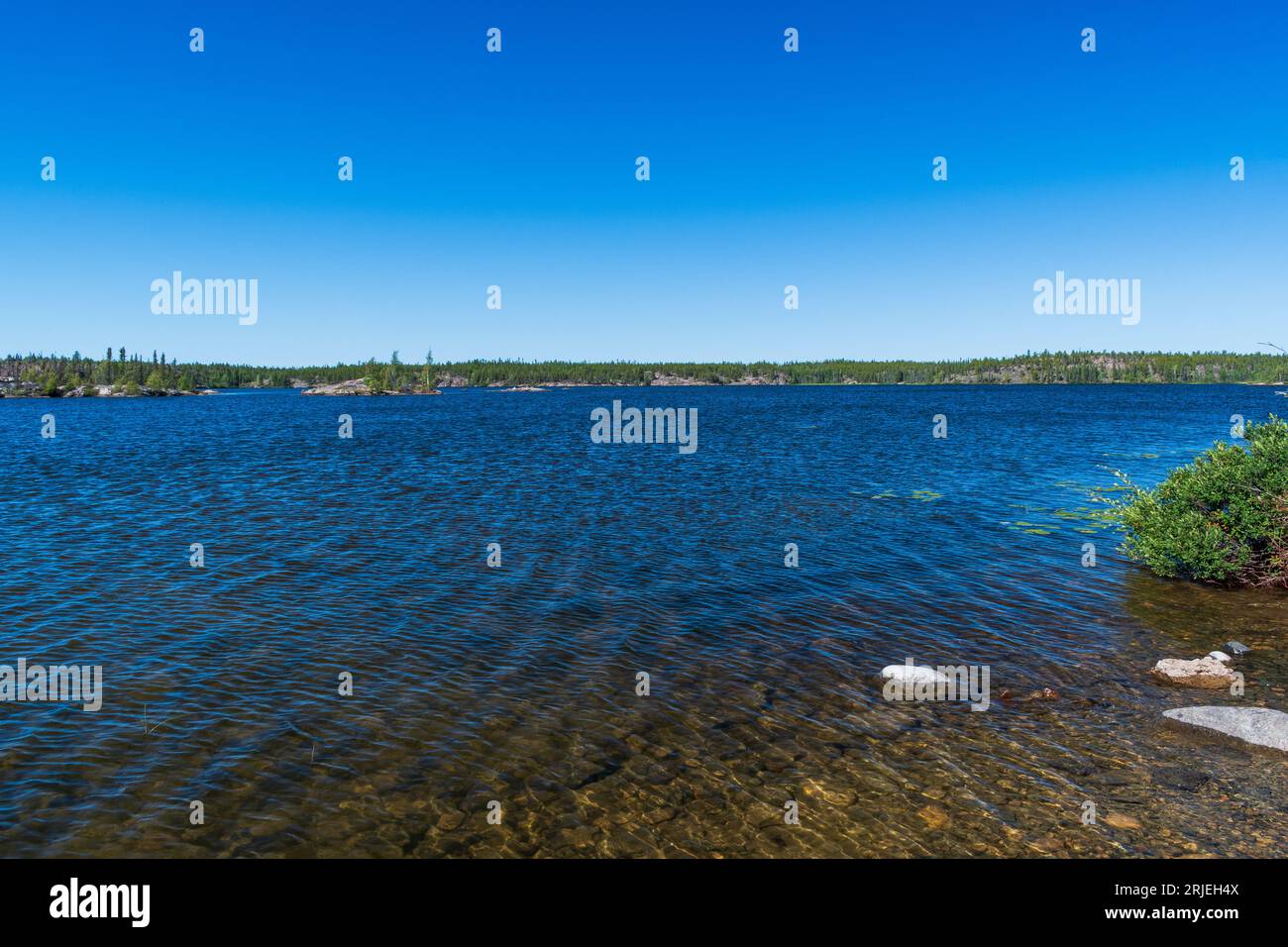 Beautiful blue lake ringed with forest sparkles in sunlight near ...