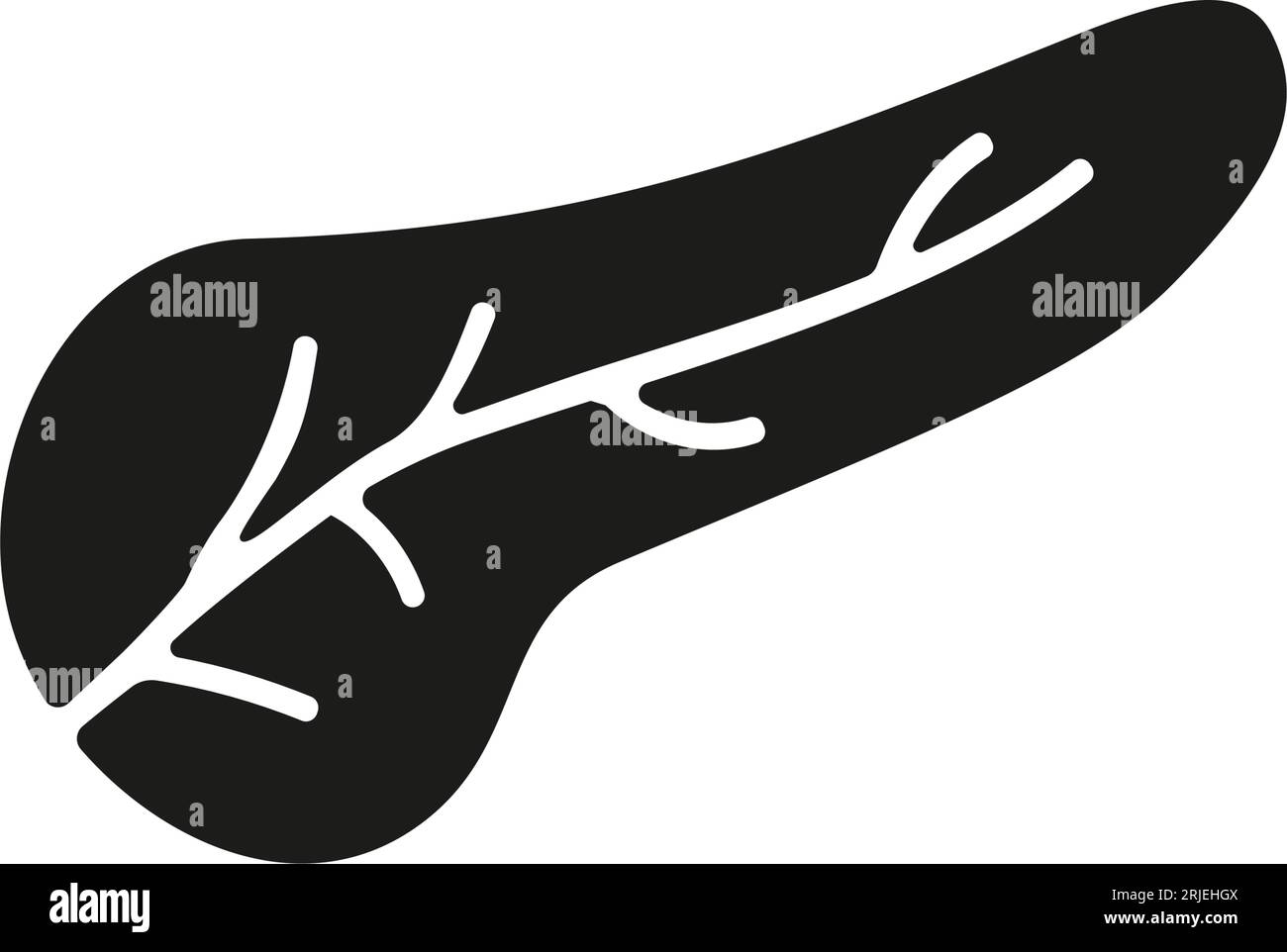 Human pancreas icon Stock Vector Image & Art - Alamy