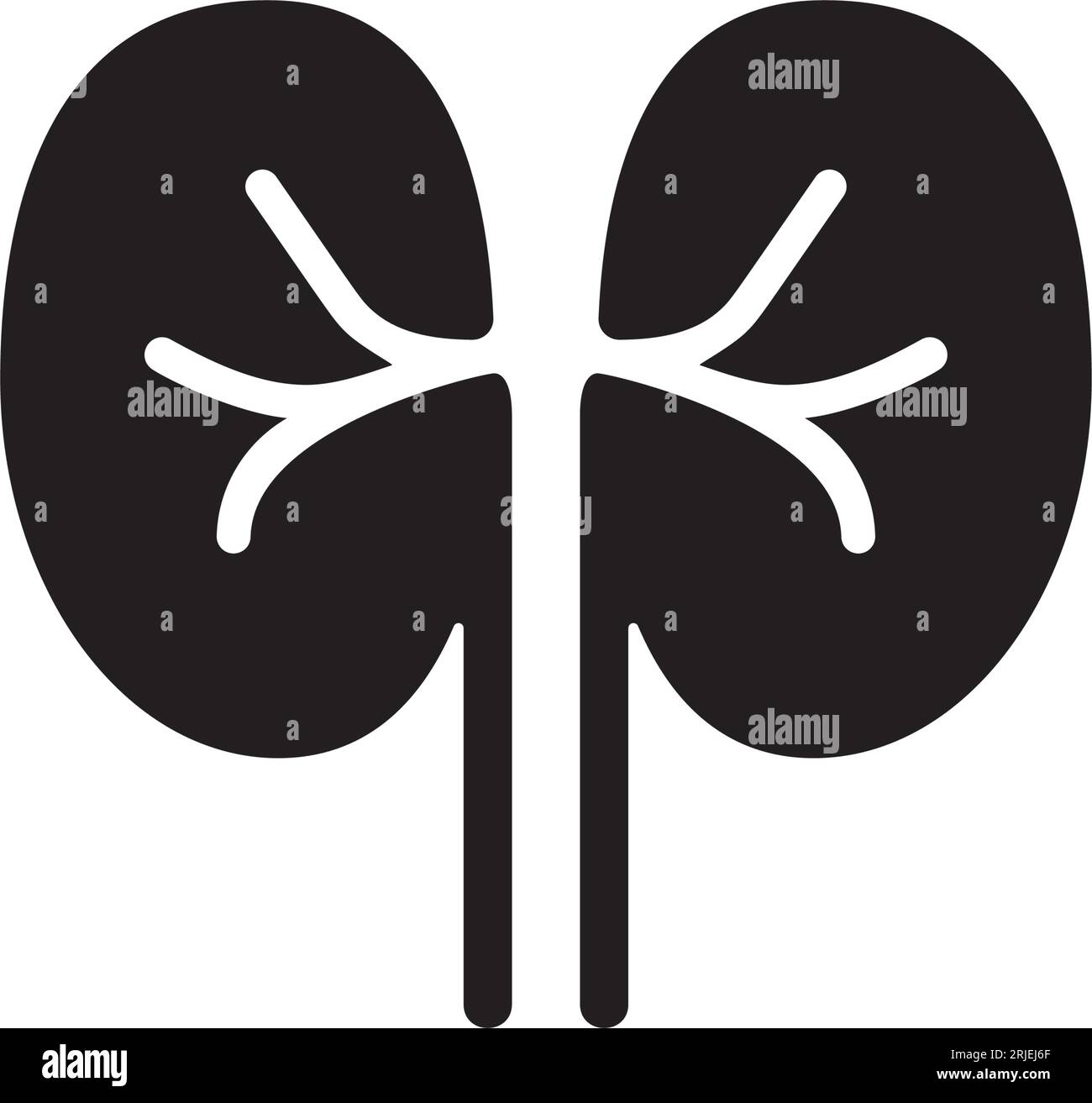 Human kidney icon Stock Vector Image & Art - Alamy