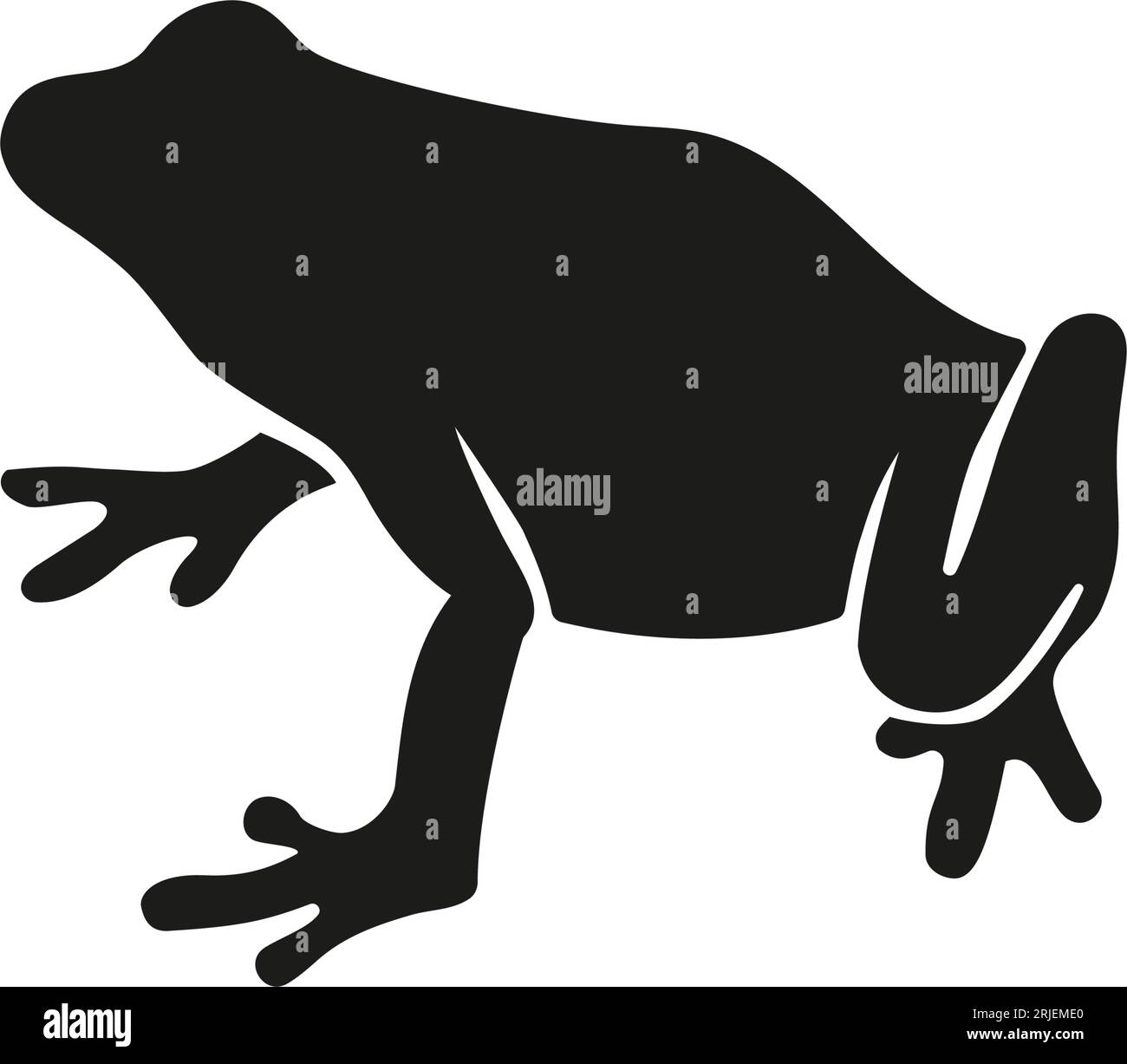 Frog terrarium Cut Out Stock Images & Pictures - Alamy