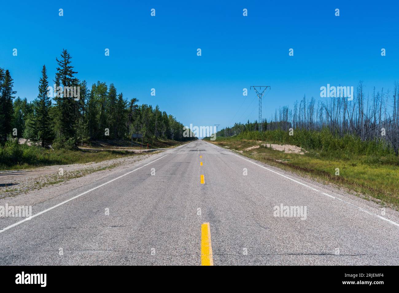 Road traverses through boreal forests of Wood Buffalo National Park ...