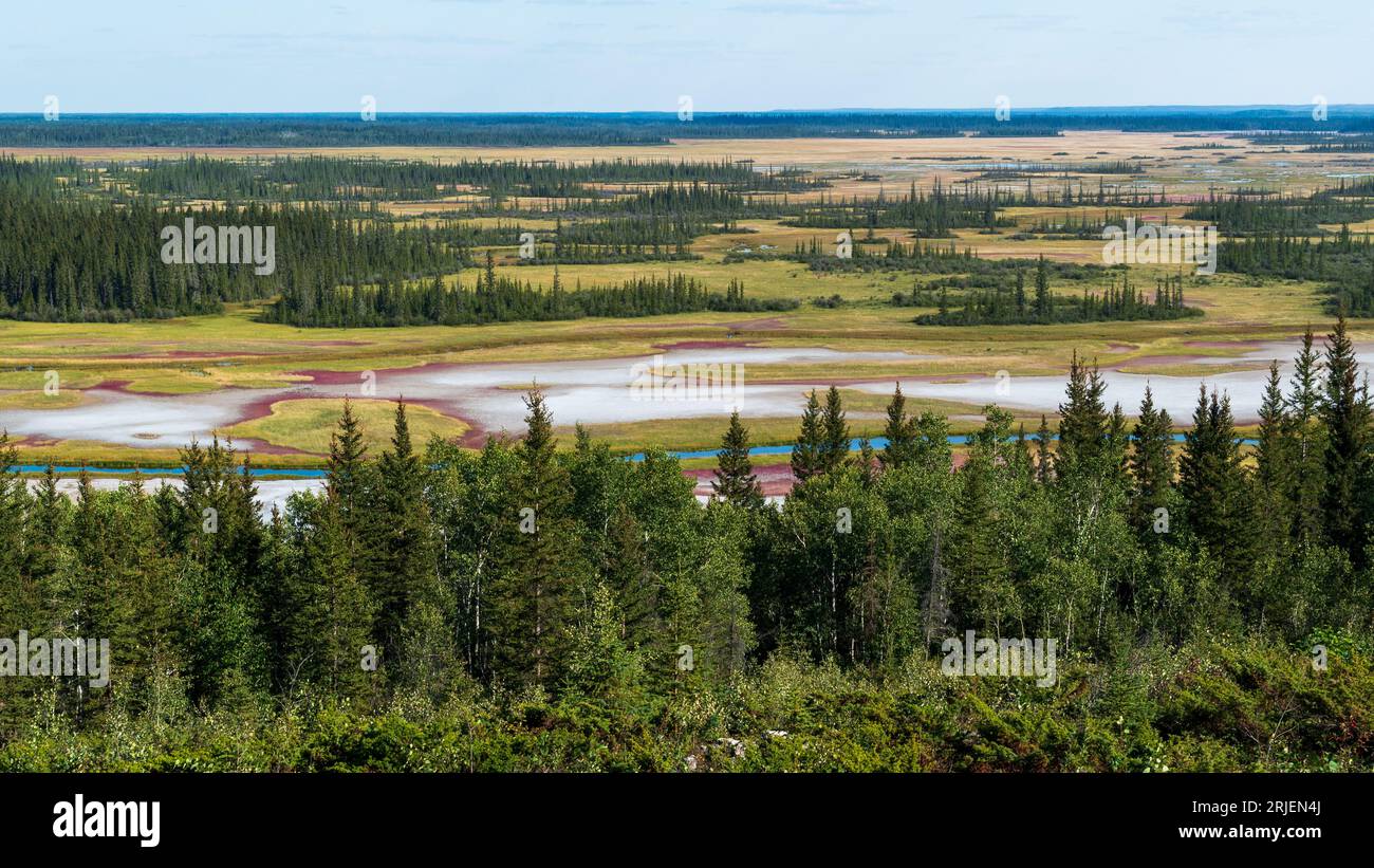 Wood buffalo national park salt plains hi-res stock photography and ...