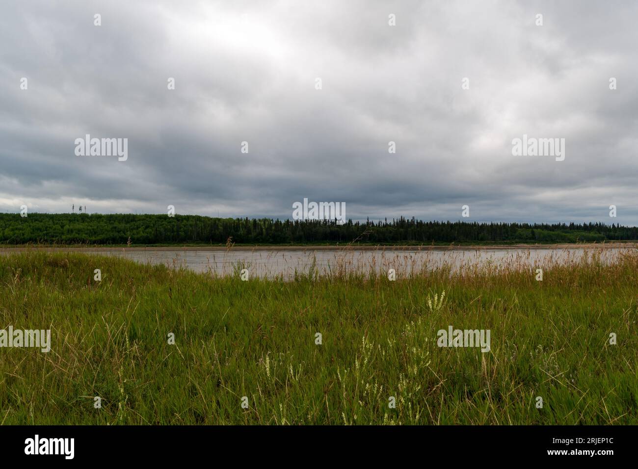 Wood buffalo national park alberta hi-res stock photography and images ...