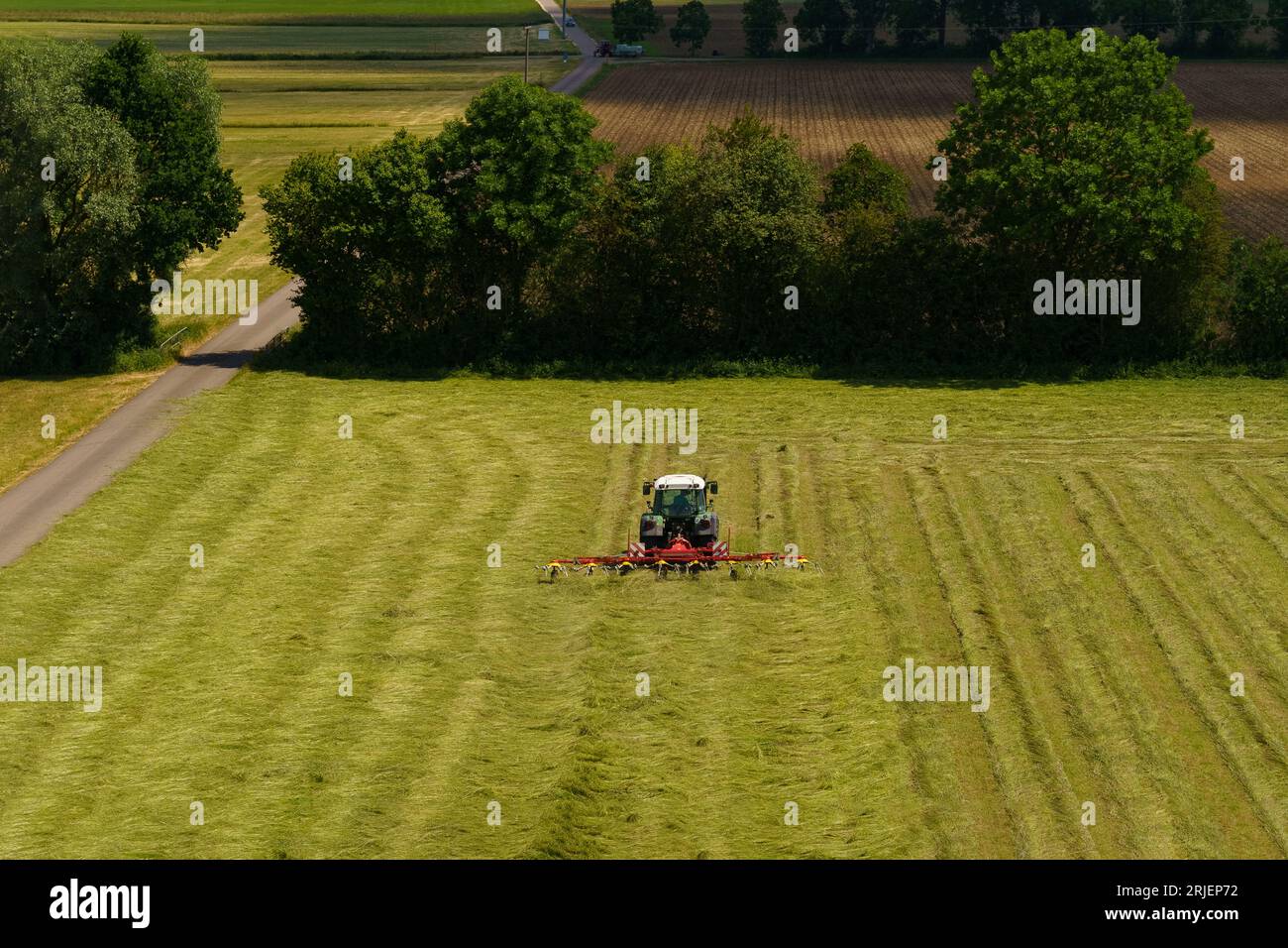 Tractor turns over freshly cut hay for drying. View from above ...