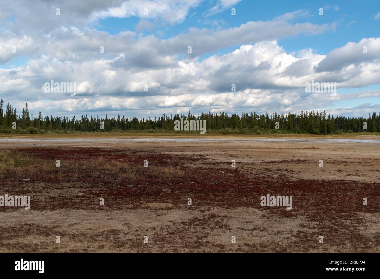 Fort smith northwest territories hi-res stock photography and images ...