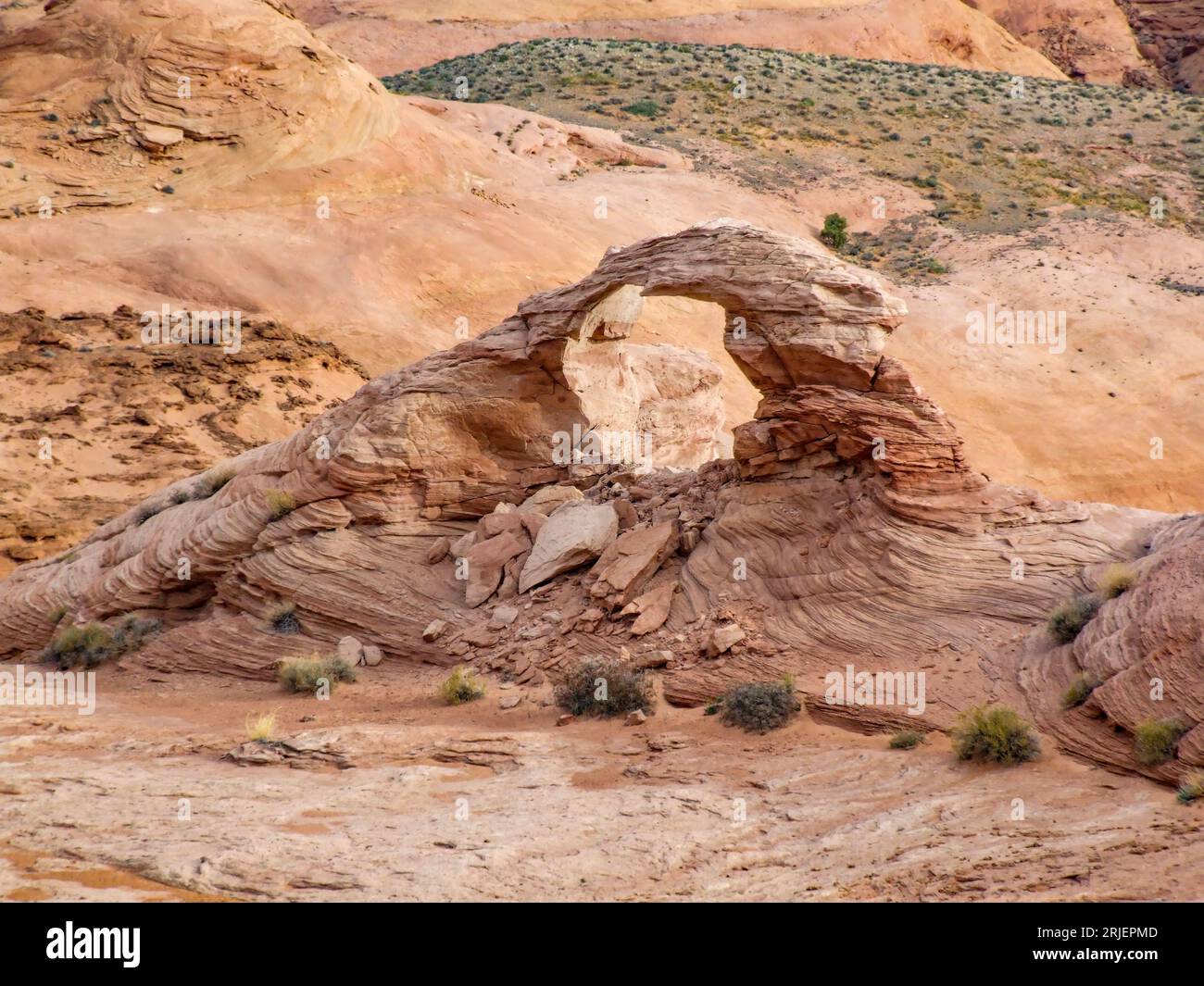 Arsenic wash hi-res stock photography and images - Alamy