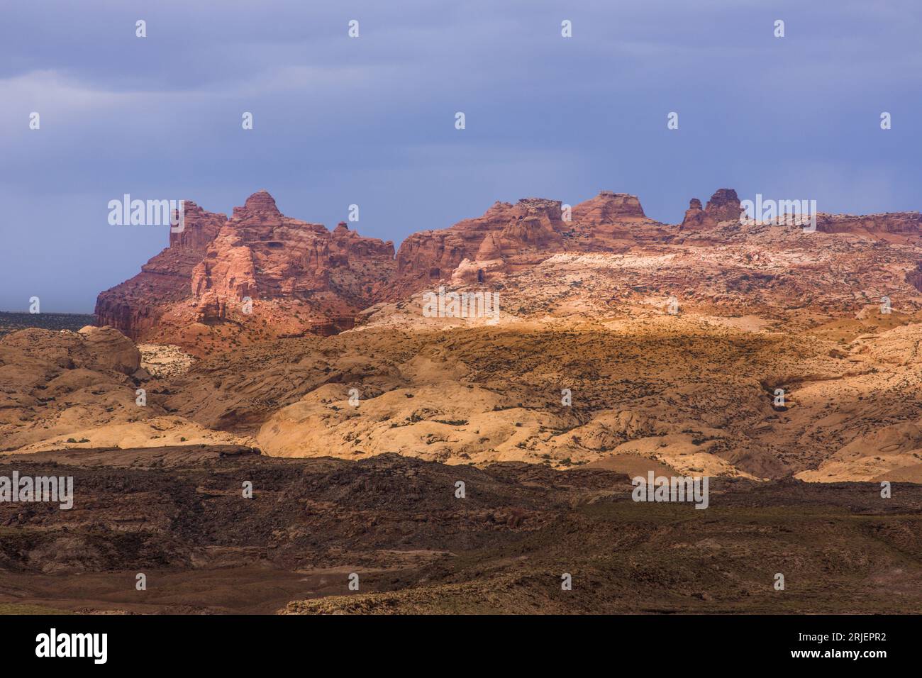 Fantastic desert plants hi-res stock photography and images - Alamy