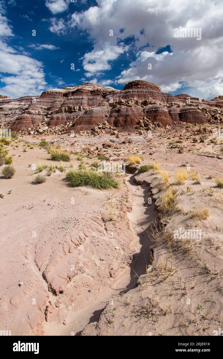 Buckmaster wash hi-res stock photography and images - Alamy