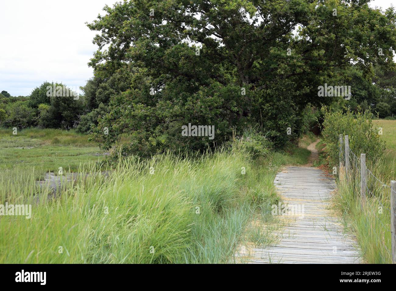 Raised wooden coastal footpath outside Port Brillac, Sarzeau, Morbihan ...