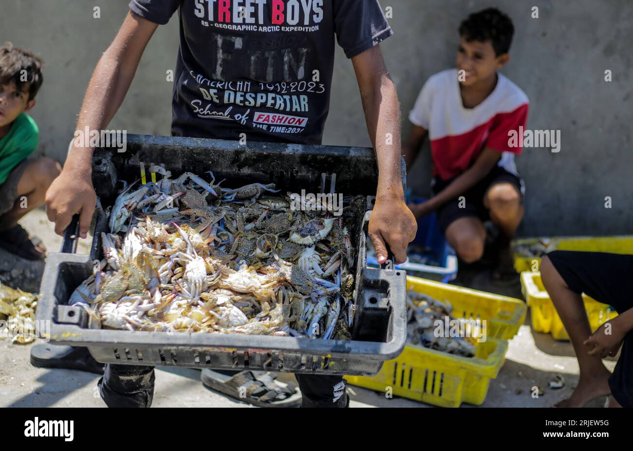 Gaza City, Palestine. 22nd Aug, 2023. Palestinian children sell fish ...