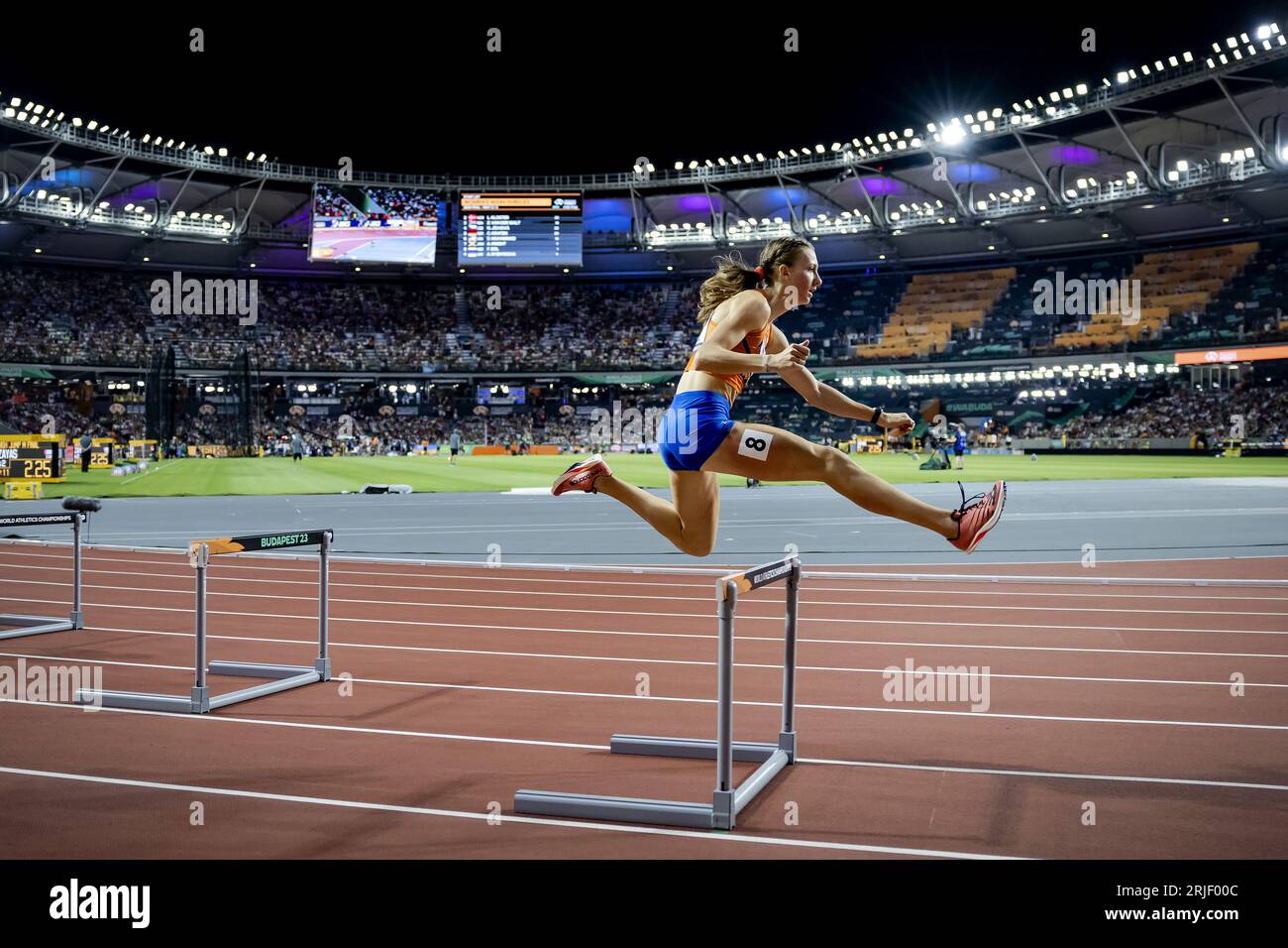 BUDAPEST - Femke Bol in action on the 400 meters hurdles during the ...