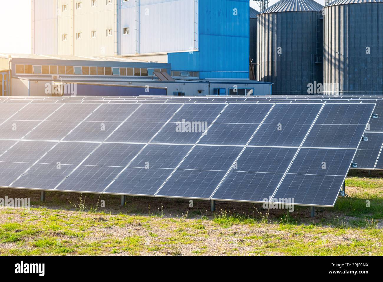 Solar photovoltaic panels in solar farm used to produce mill in a flour ...