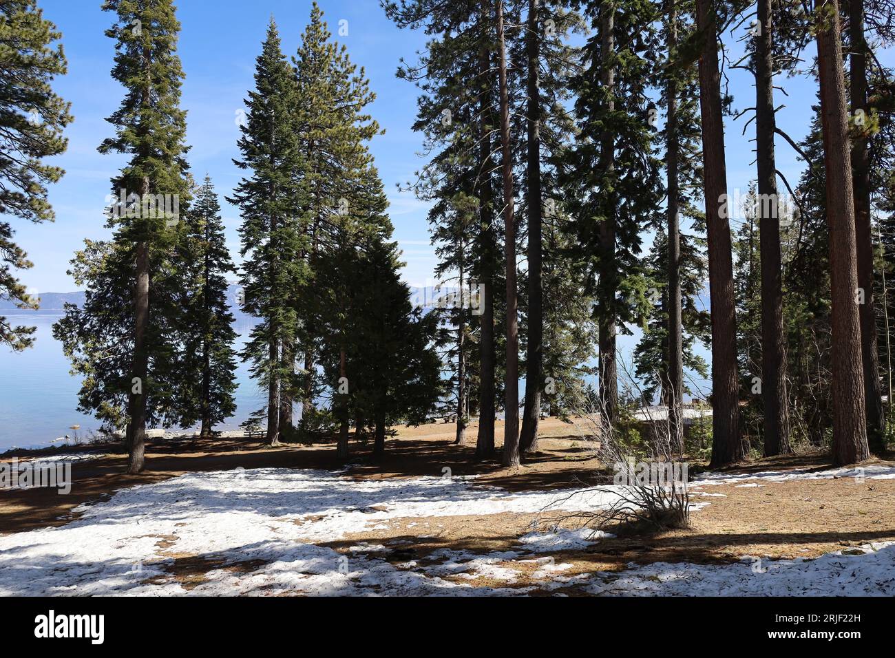 Photo of Lake tahoe Sugar Pine state park Stock Photo - Alamy