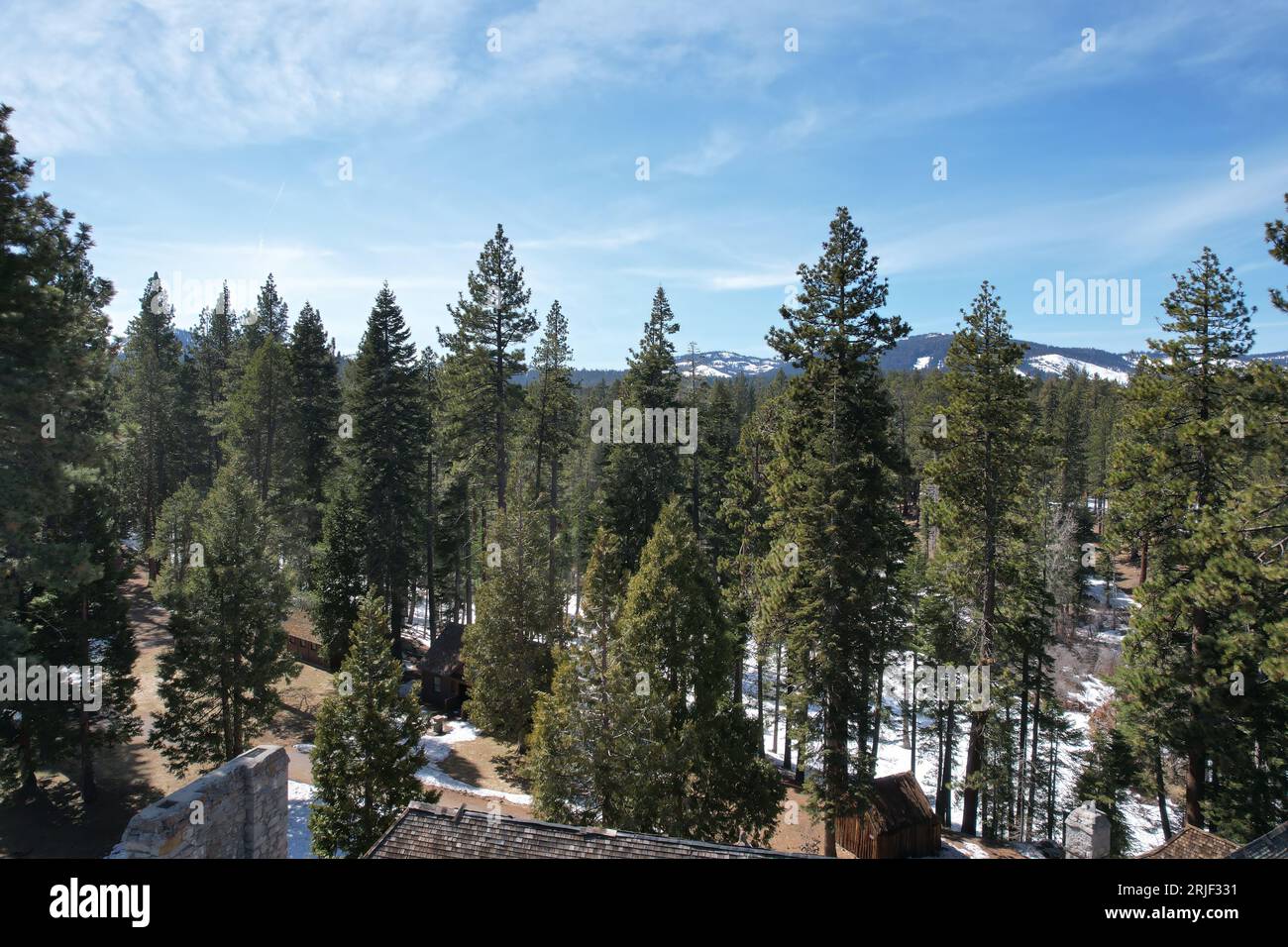 Photo of Lake tahoe Sugar Pine state park Stock Photo - Alamy