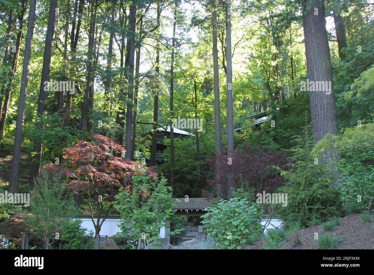 View of Japanese gardens in Portland Stock Photo - Alamy