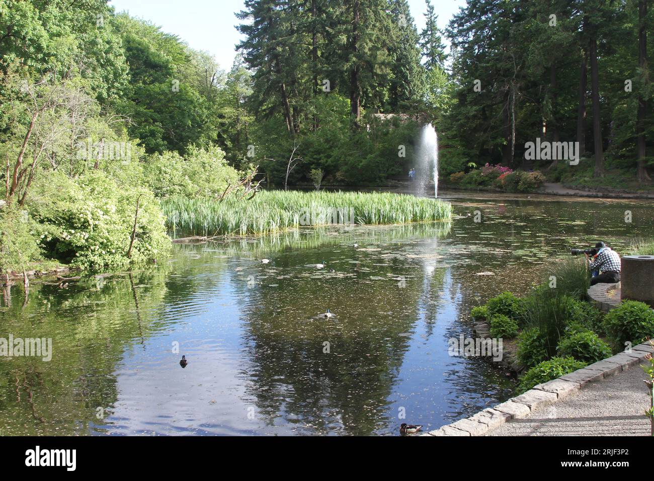 View of Japanese gardens in Portland Stock Photo - Alamy