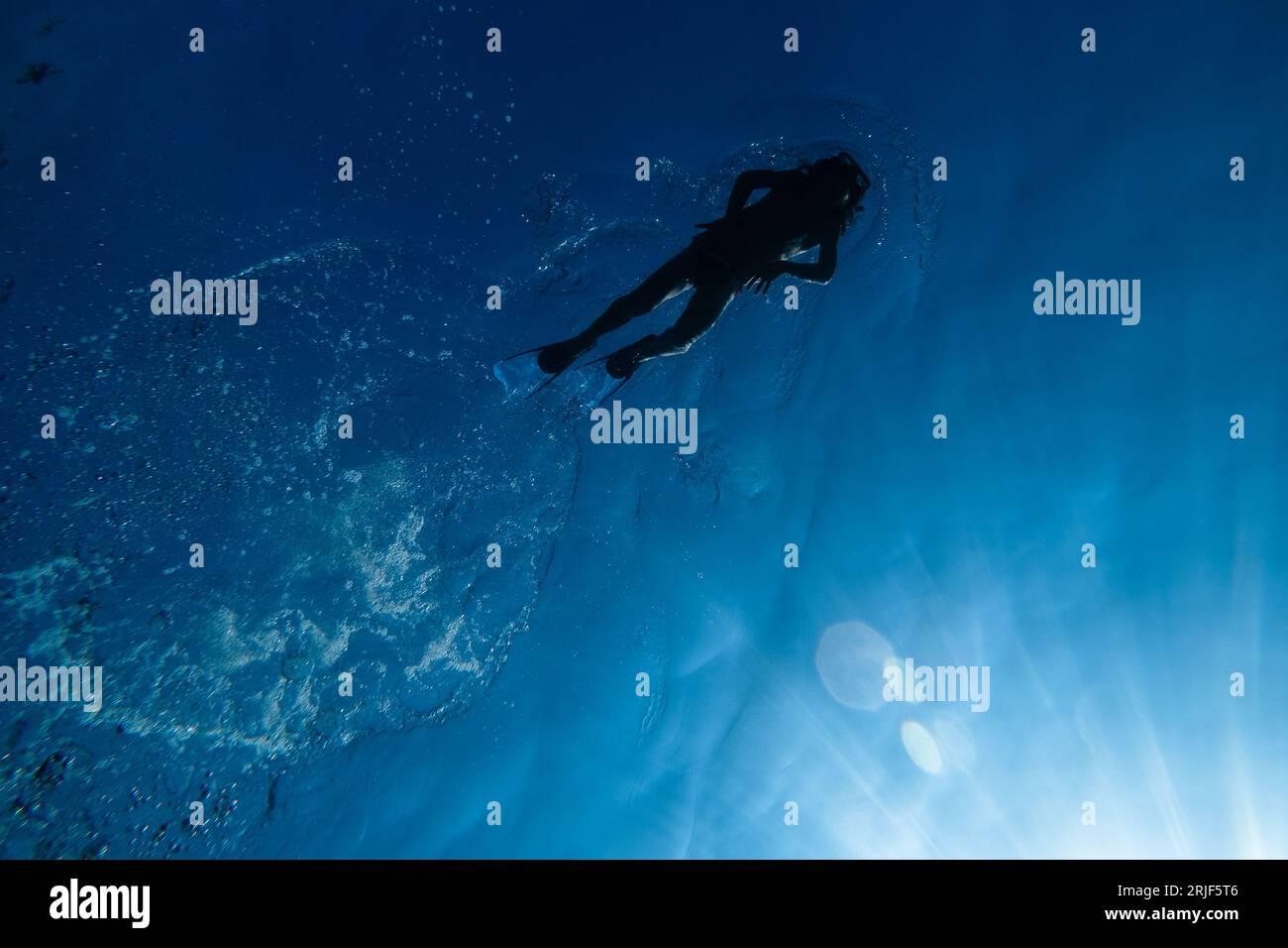 From below of full body anonymous person diver in wetsuit and flippers ...