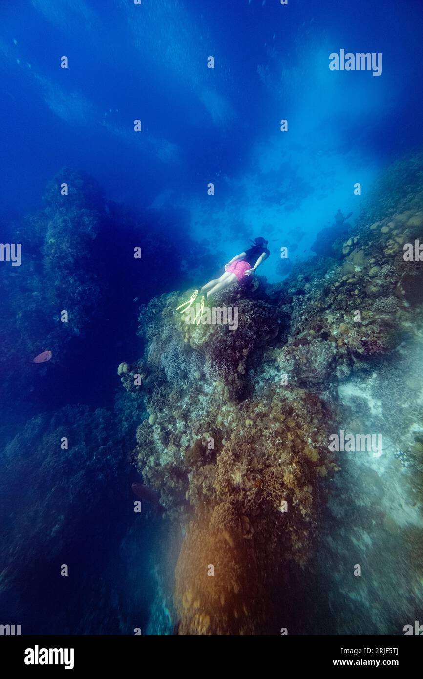 Underwater view side view of anonymous male diver snorkeling with ...
