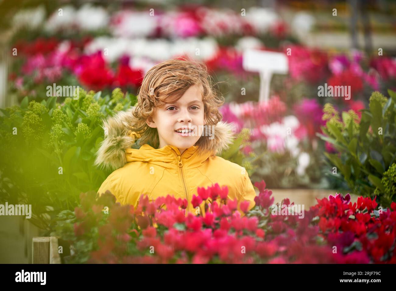 Adorable boy wearing warm jacket sitting near blooming colorful flowers ...