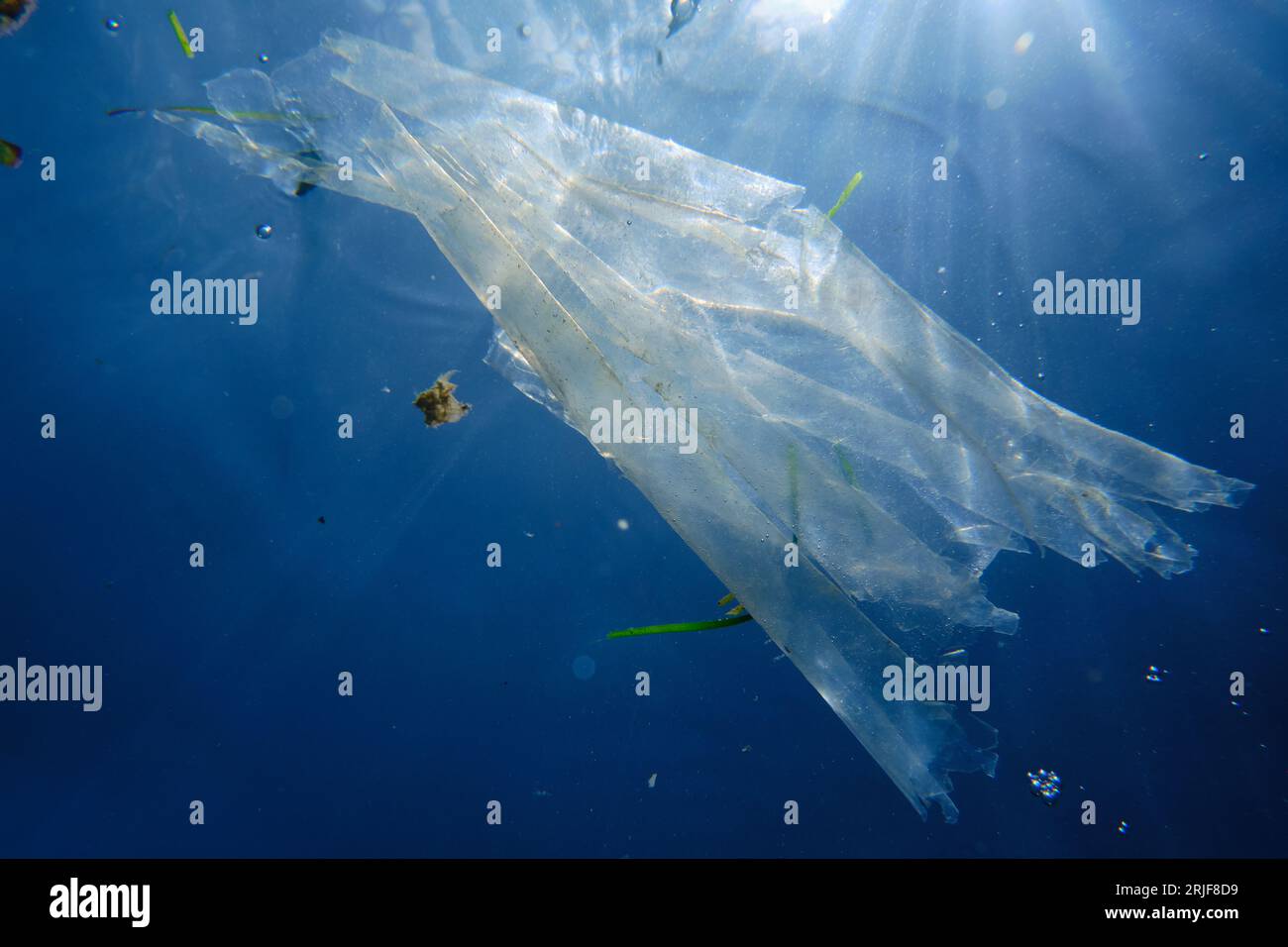 Underwater view of litter floating deep in blue seawater under sunlight ...
