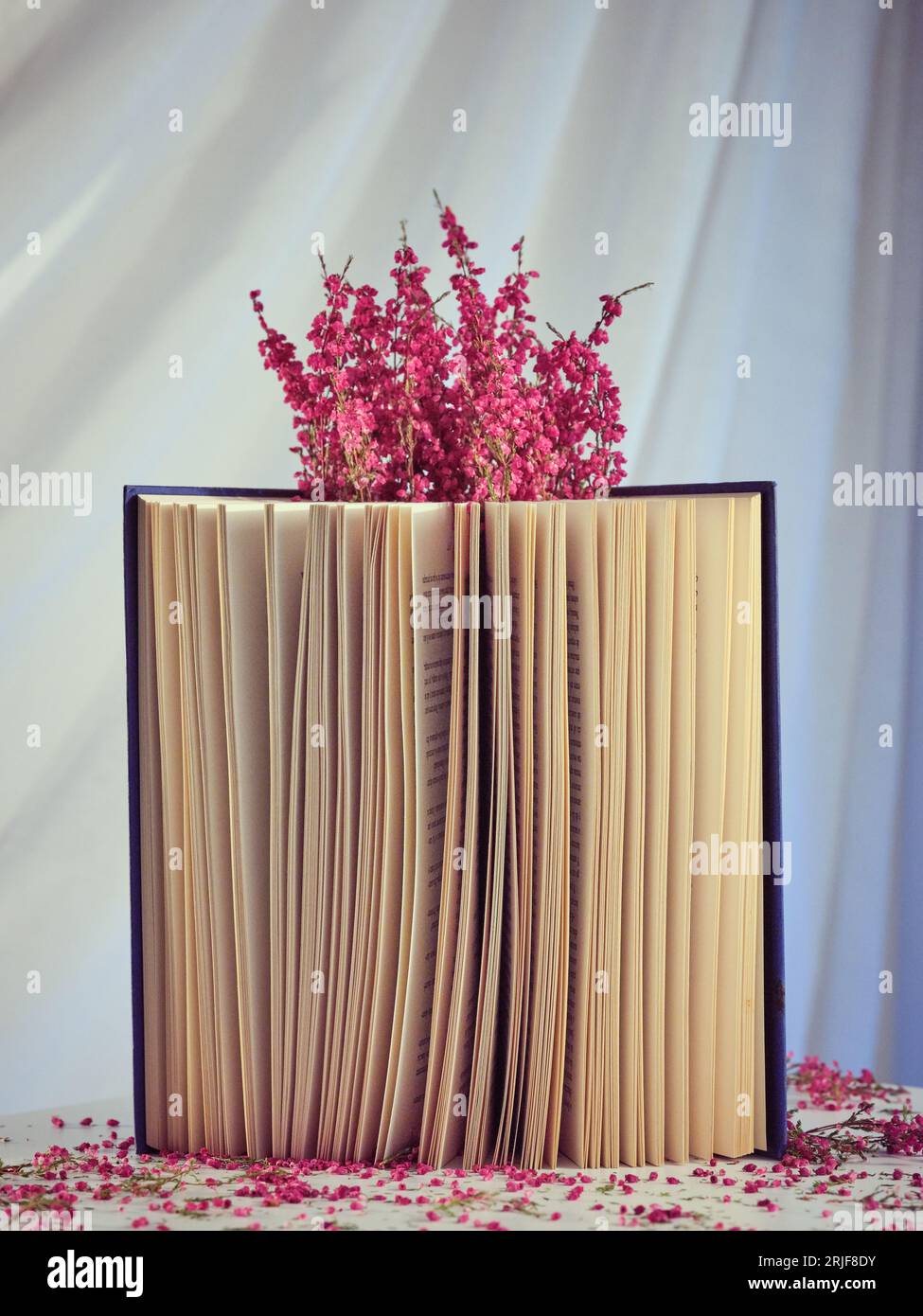 Colorful tender pink heather flowers on opened book placed on messy ...