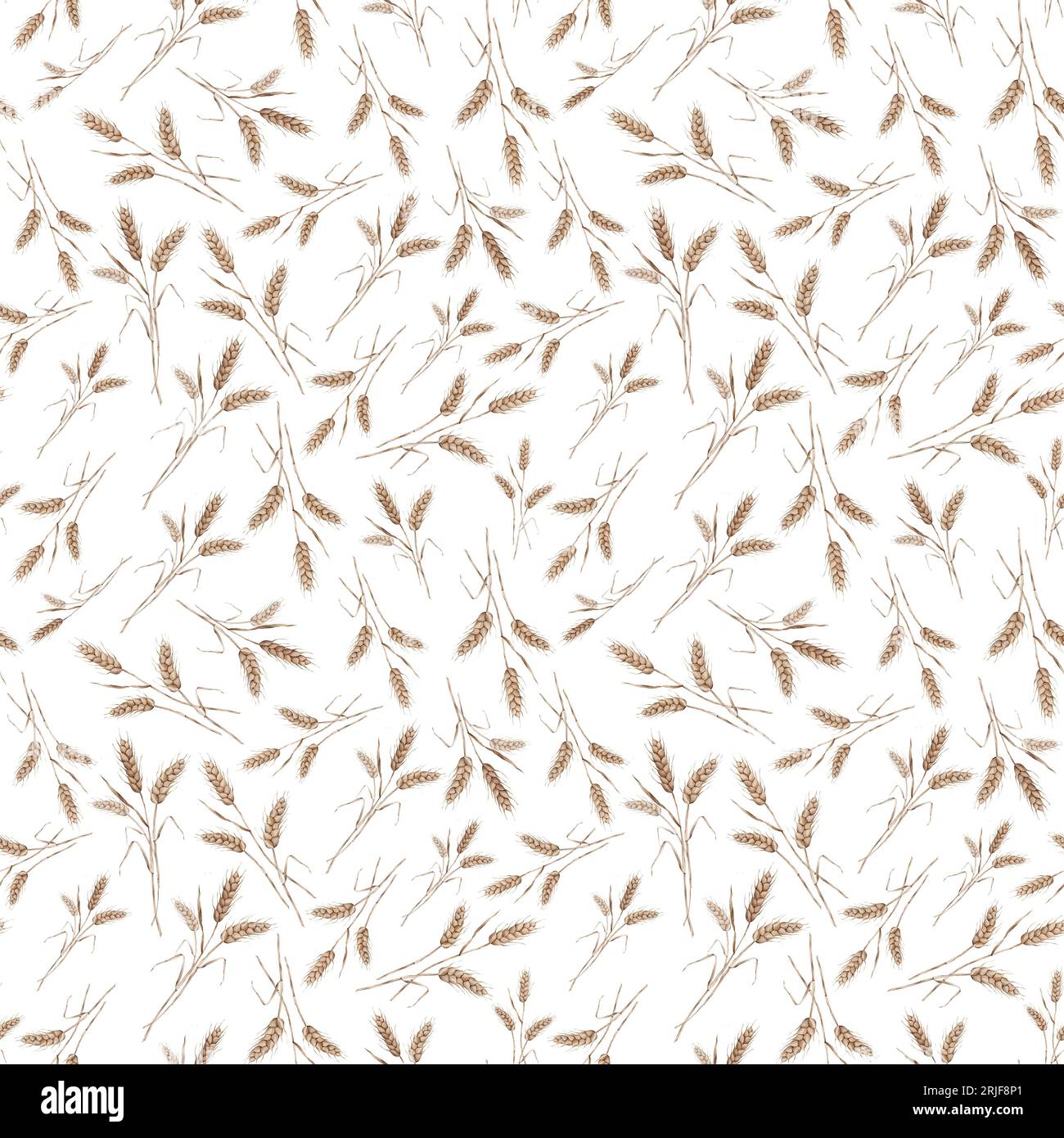 Seamless wheat spikelet pattern. Watercolor herbal background with ...