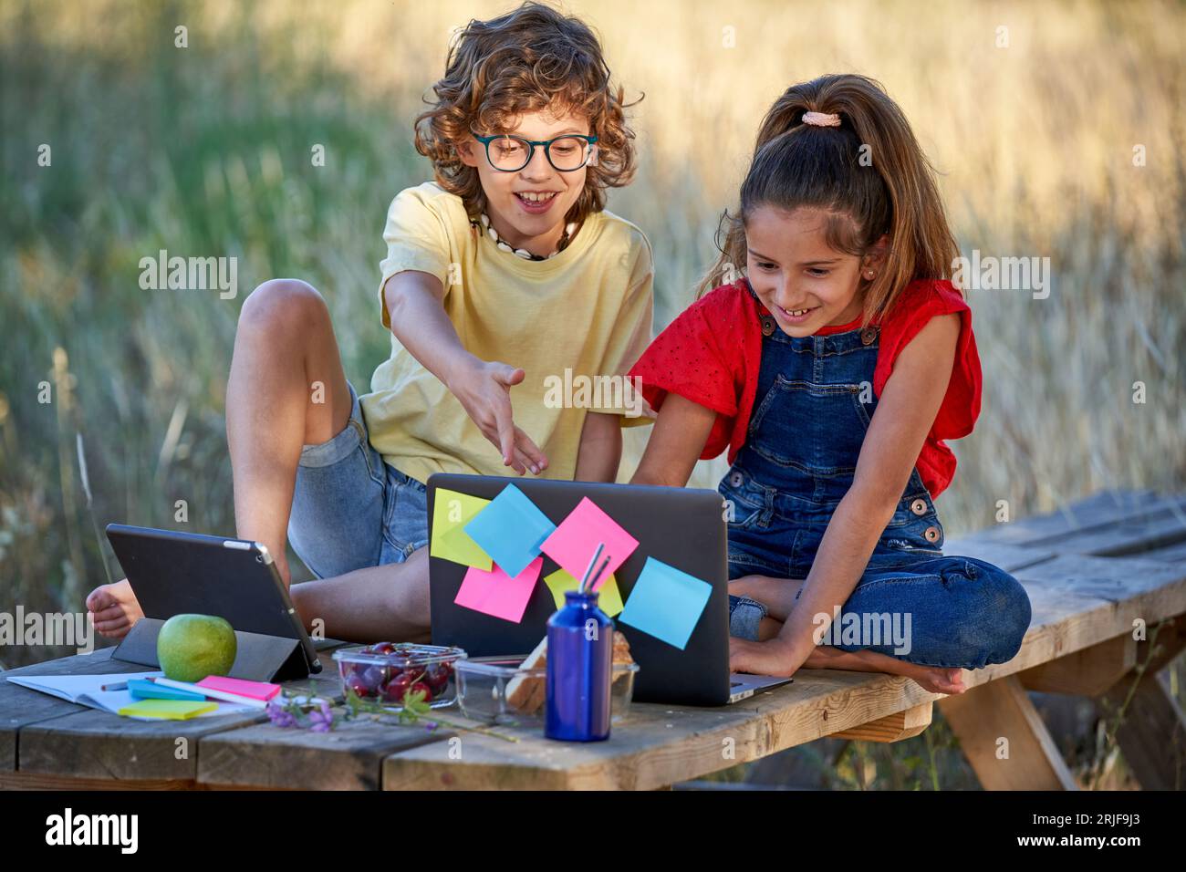 Full body of happy children sitting on wooden bench with snacks in ...